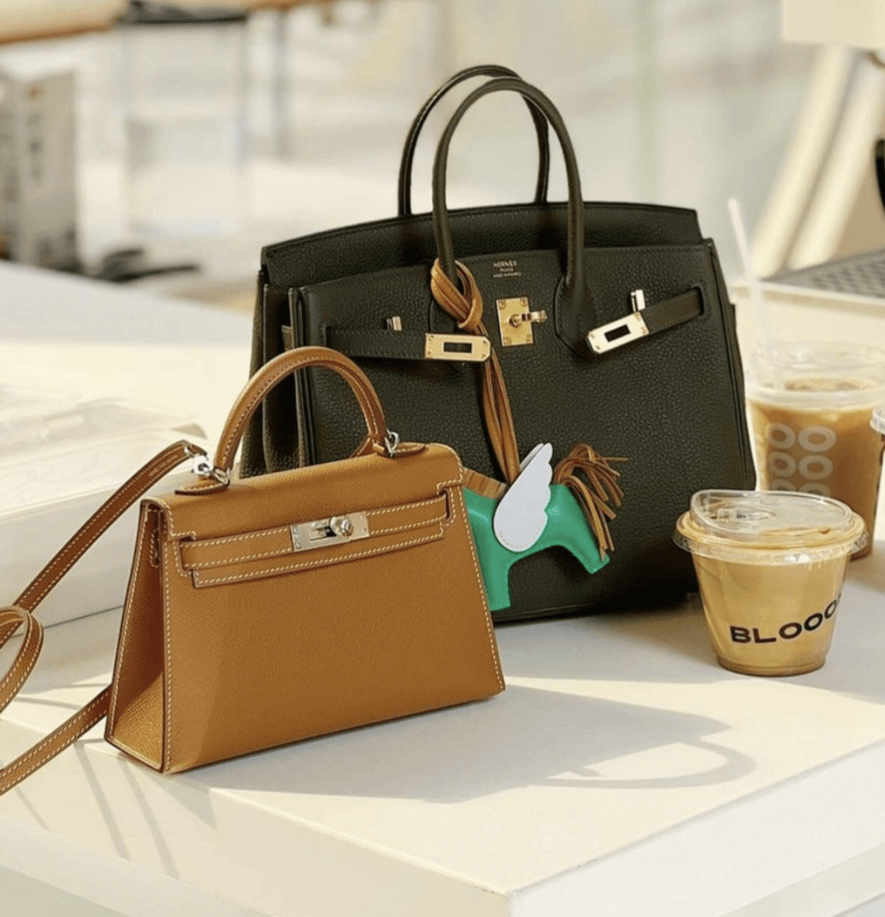 Birkin vs. Kelly: The Only Guide You Need Before Buying